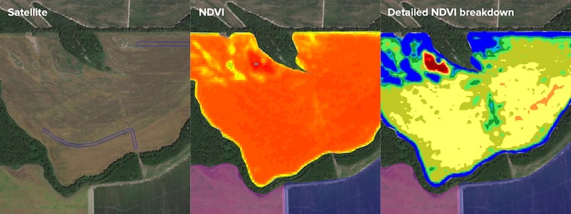 AgDNA Launches New NDVI Crop Health Mapping Tool | Precision Farming Dealer